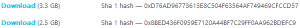 What is the use of file hash on a download page