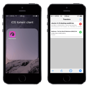 How to download Torrents on iPhone, iPad and iPod Touch