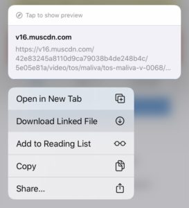 Download videos from any website on Mac, PC, iOS and Android devices