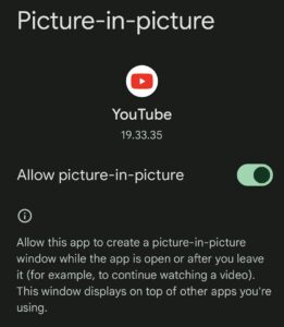 YouTube Picture-in-Picture Not Working? Here’s How to Fix It